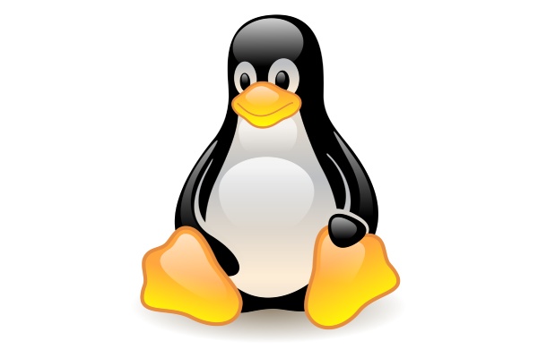 Top 8 Facts about Linux : Blog | OpenCode.md